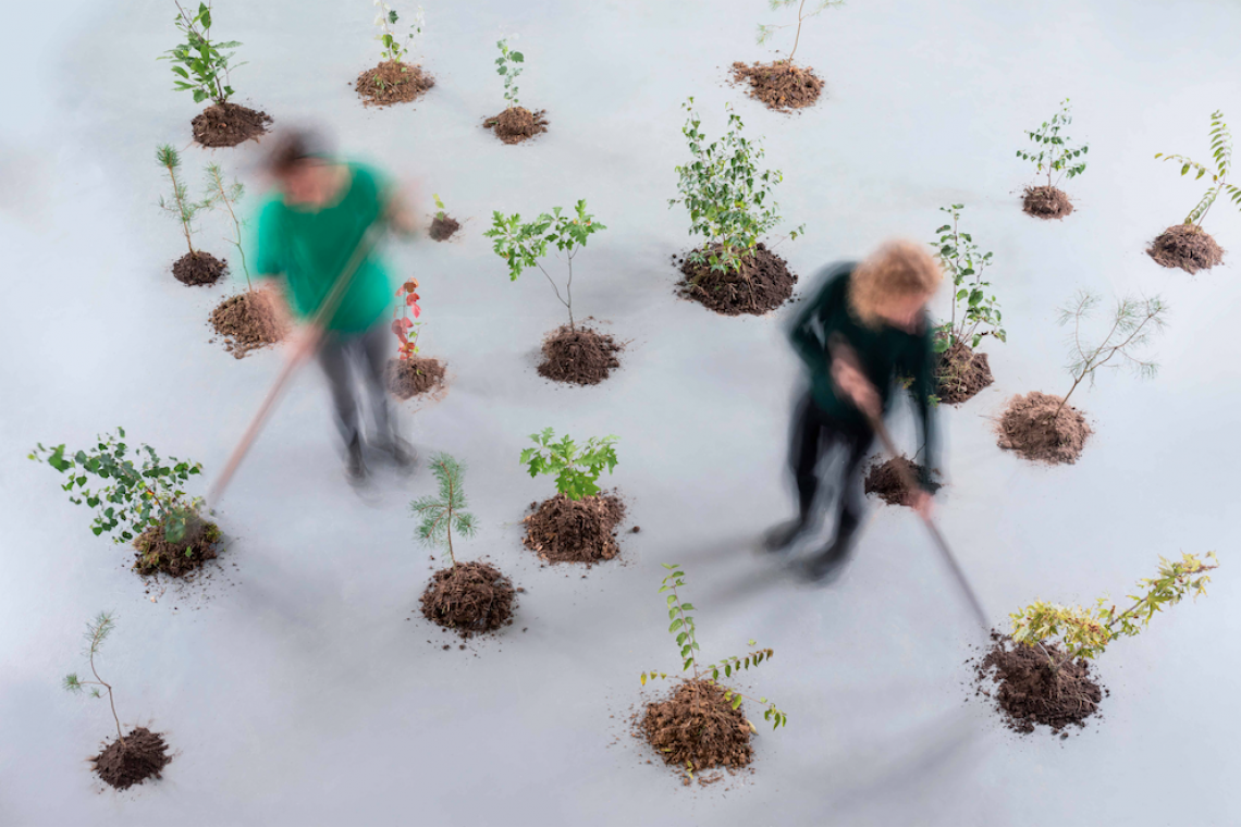 AtelierNL | Plant je eigen boom // Plant your own tree